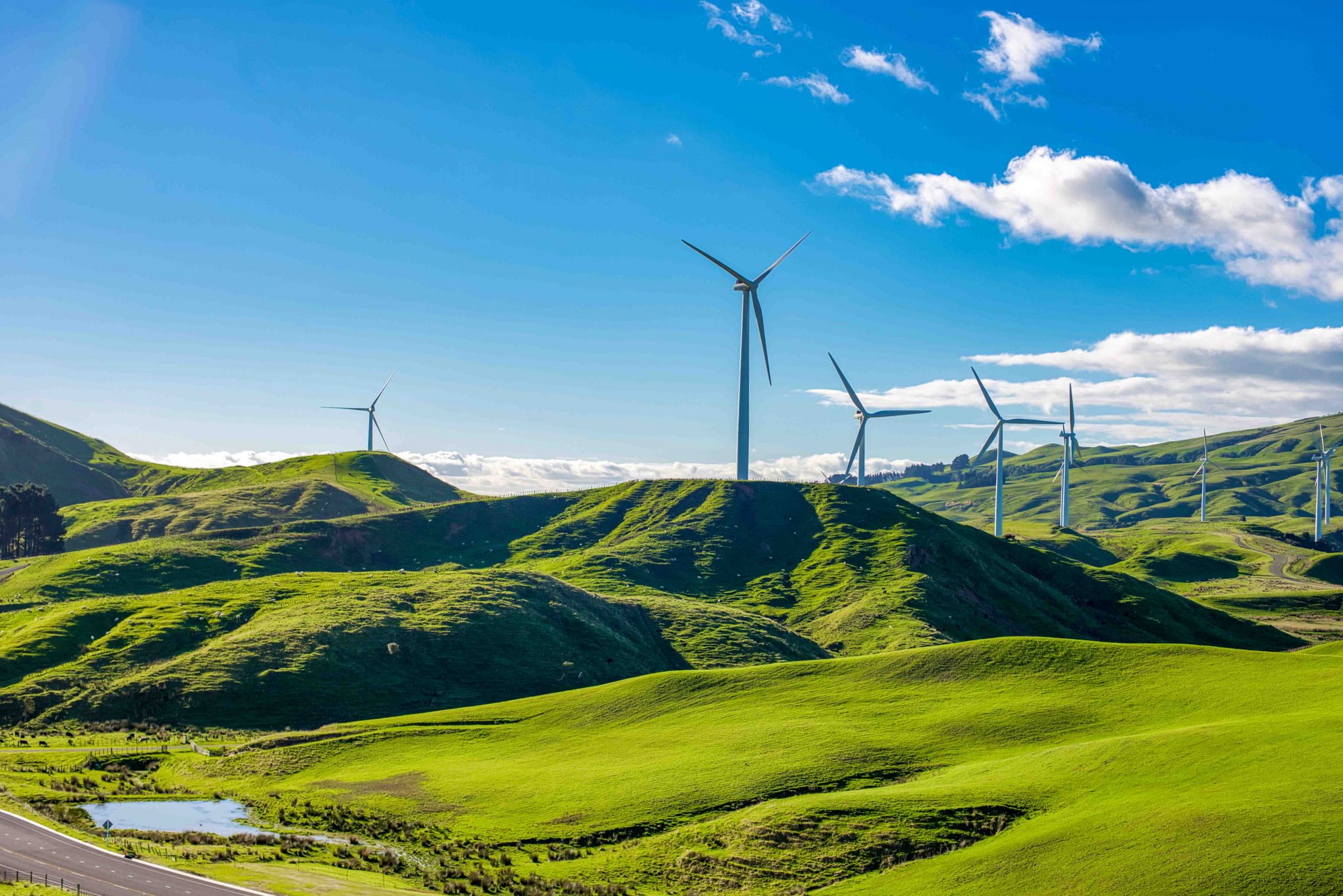 Te Apiti - Blackley Construction